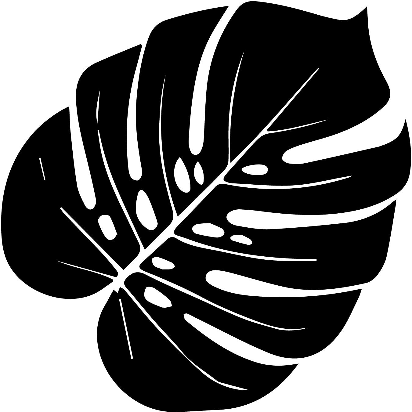 Monstera Deliciosa plant leaf CDR Vector Design – Arts Shala